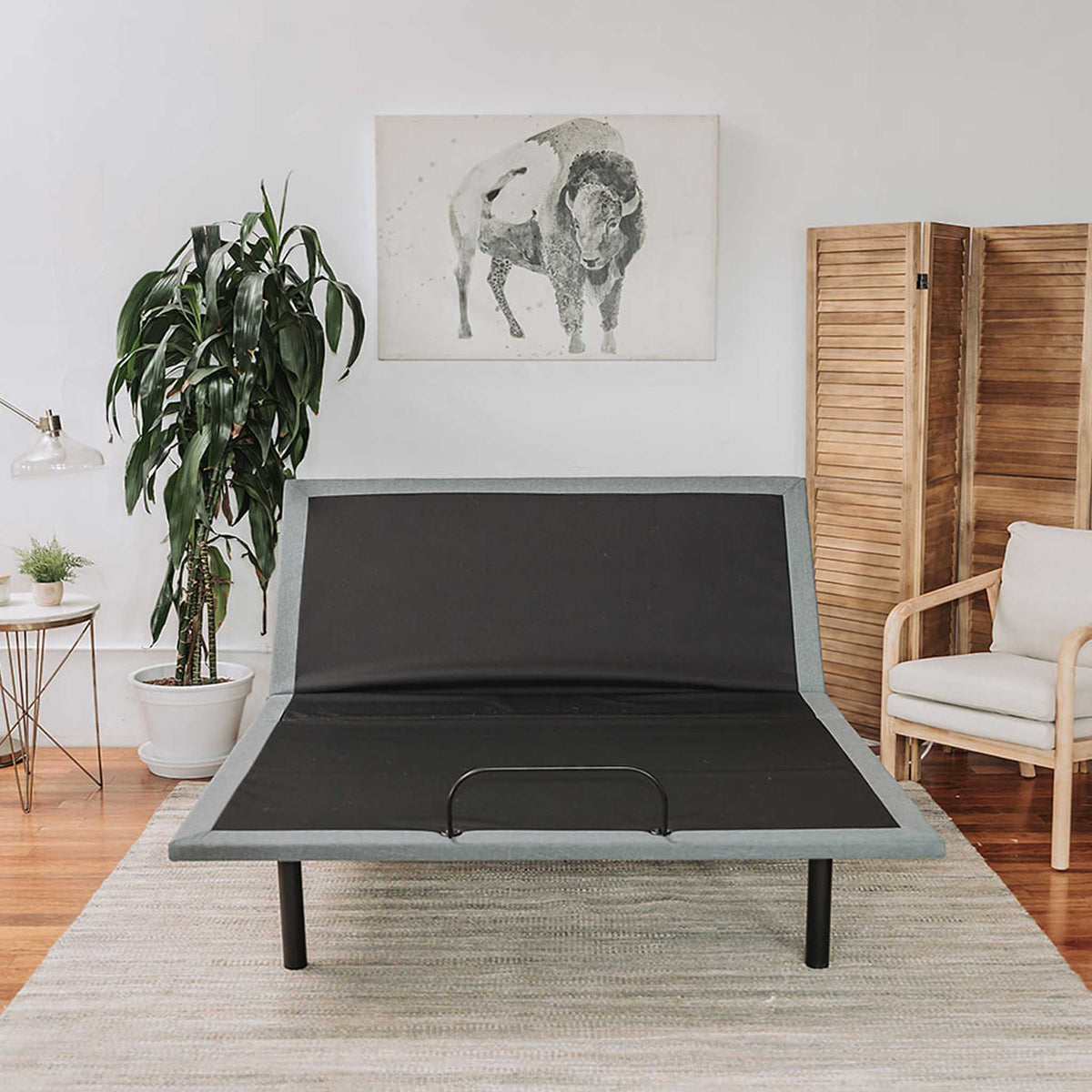 BTX4 Adjustable Bed – Florida Mattress